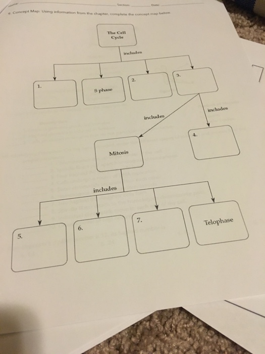 Solved Concept map: using information form the chapter, | Chegg.com