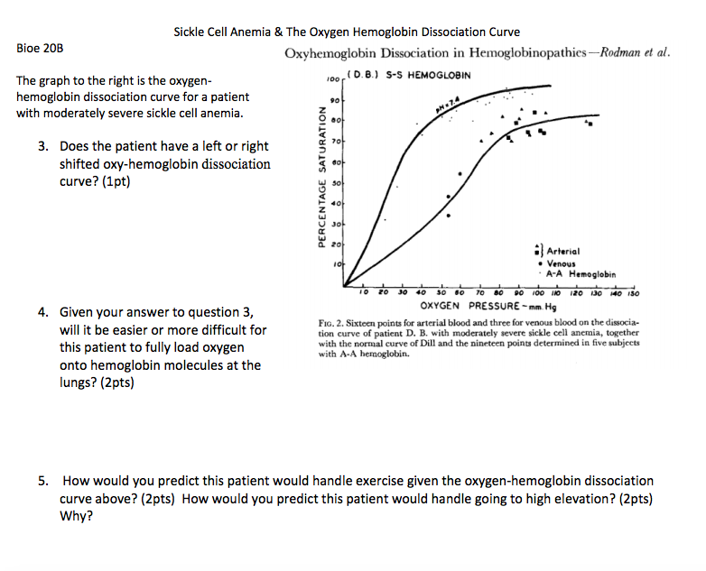 Solved The graph to the right is the oxygen-hemoglobin | Chegg.com