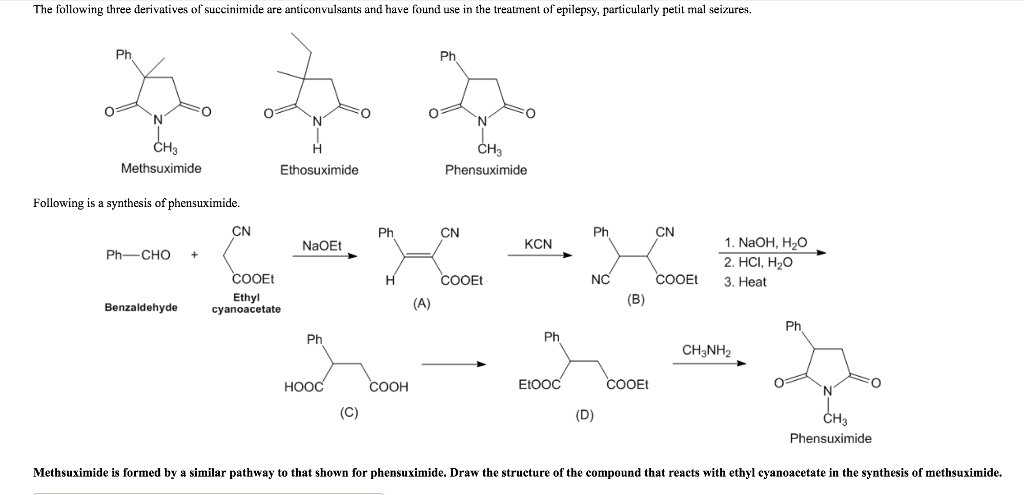 Solved The following three derivatives of succinimide are | Chegg.com