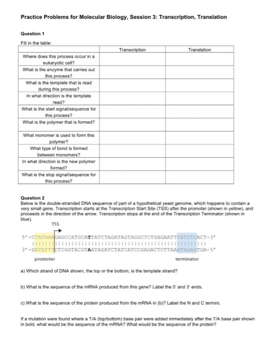 Solved Practice Problems for Molecular Biology, Session 3: | Chegg.com