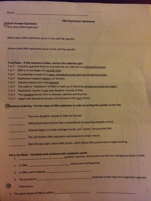 Solved Why does DNA Replicate? When does DNA replication | Chegg.com