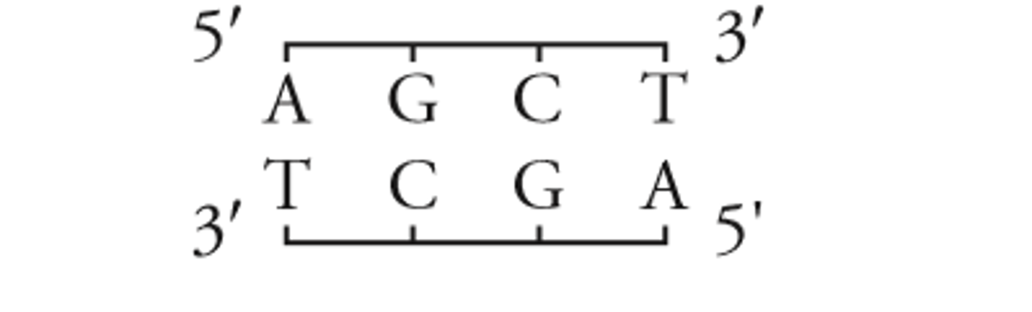 A Palindrome Is A Word Or Phrase That Reads The Same