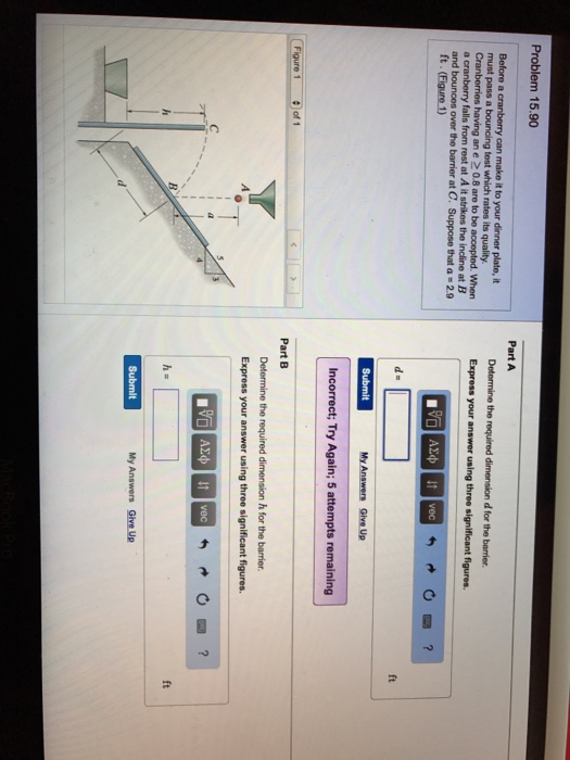 Solved Before a cranberry can make it to your dinner plate. | Chegg.com