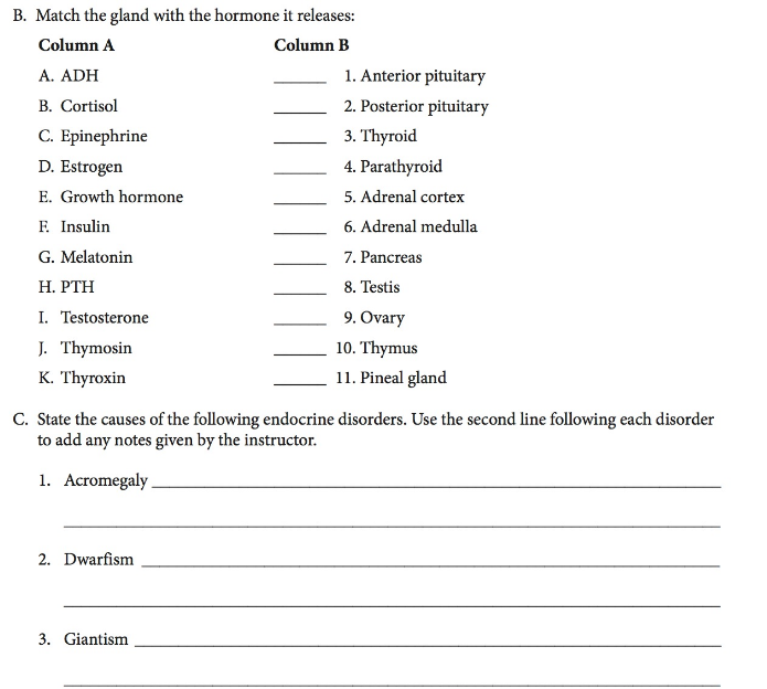 Solved Match the gland with the hormone it releases: Column | Chegg.com