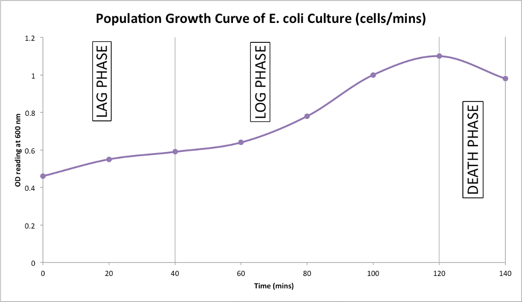 Solved What is the exponential growth, doubling time? Y | Chegg.com