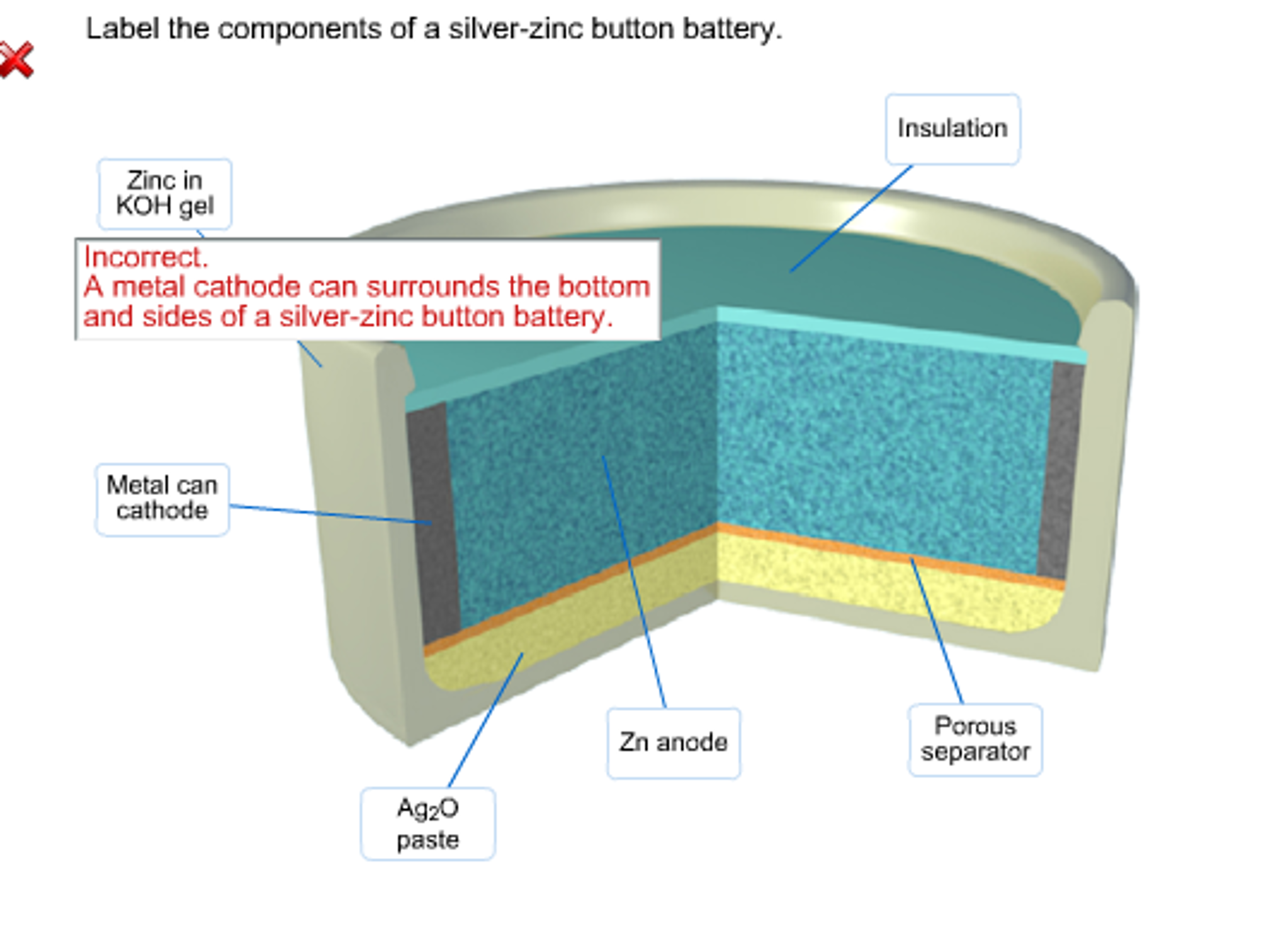 Solved Label the components of a silver-zinc button battery. | Chegg.com