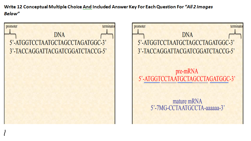 Solved Note: Write 12 Conceptual Multiple Choice And | Chegg.com