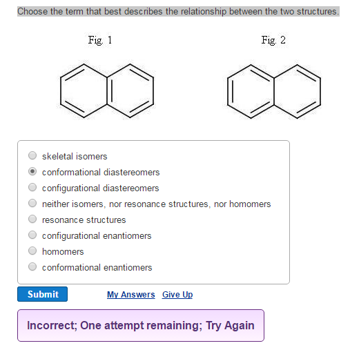 Solved Choose the term that best describes the relationship | Chegg.com