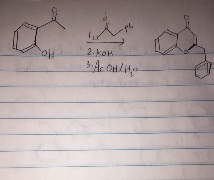 Solved KOH AcOH/H2O | Chegg.com