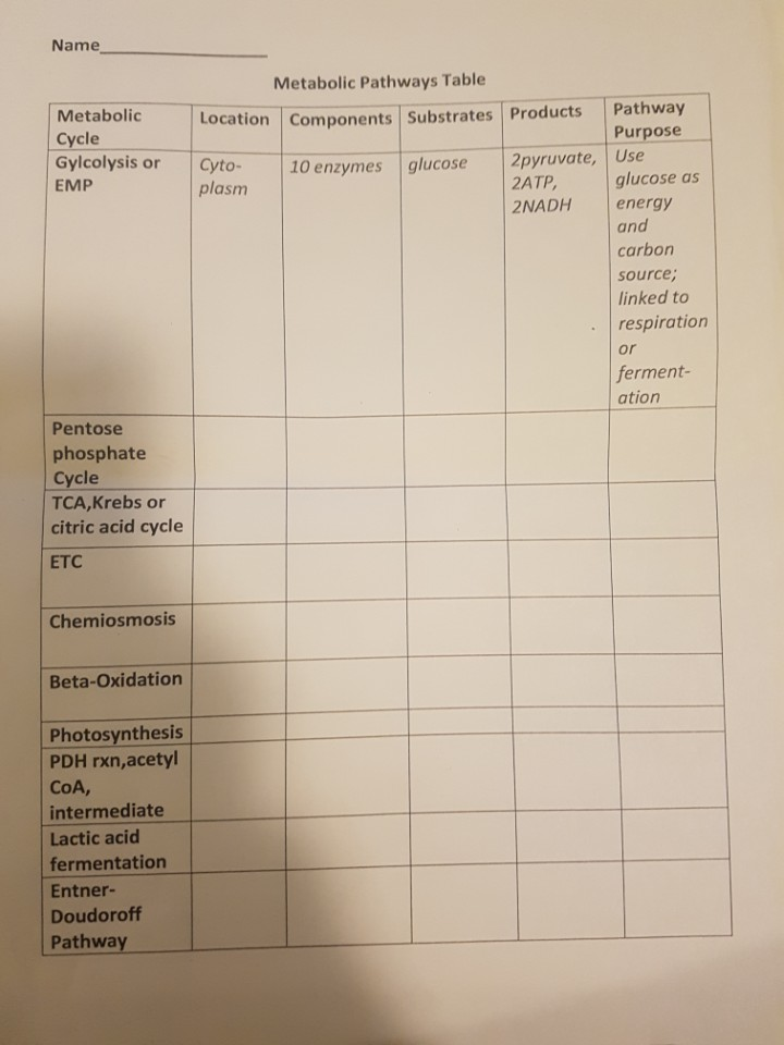 Solved Name Metabolic Pathways Table Metabolic Cycle | Chegg.com