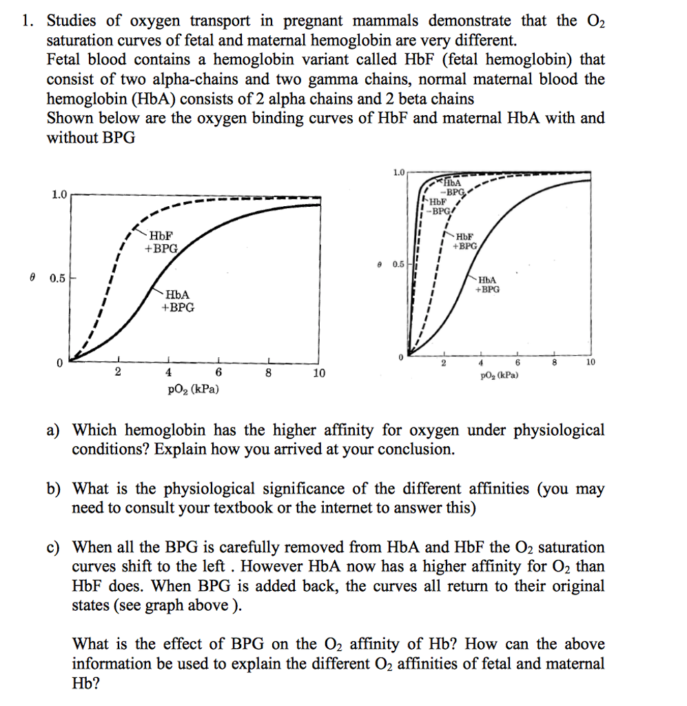 Solved I know the higher the line on the graph the higher | Chegg.com
