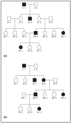 Solved For the following pedigrees, describe what you think | Chegg.com