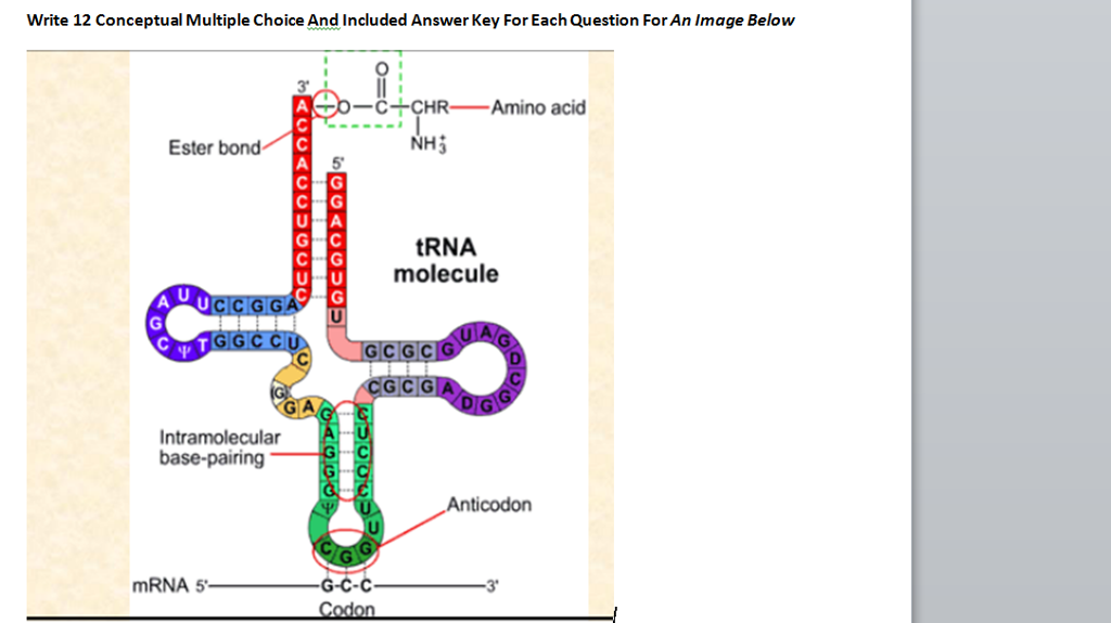 Solved Note: Write 12 Conceptual Multiple Choice And | Chegg.com