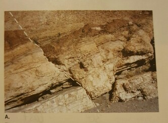 Solved label the hanging wall block, foot wall block, which | Chegg.com