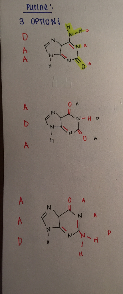 Solved Non-standard base Pairing: How would I draw | Chegg.com