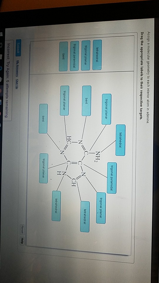 Solved Assign a molecular geometry to each interior atom in | Chegg.com