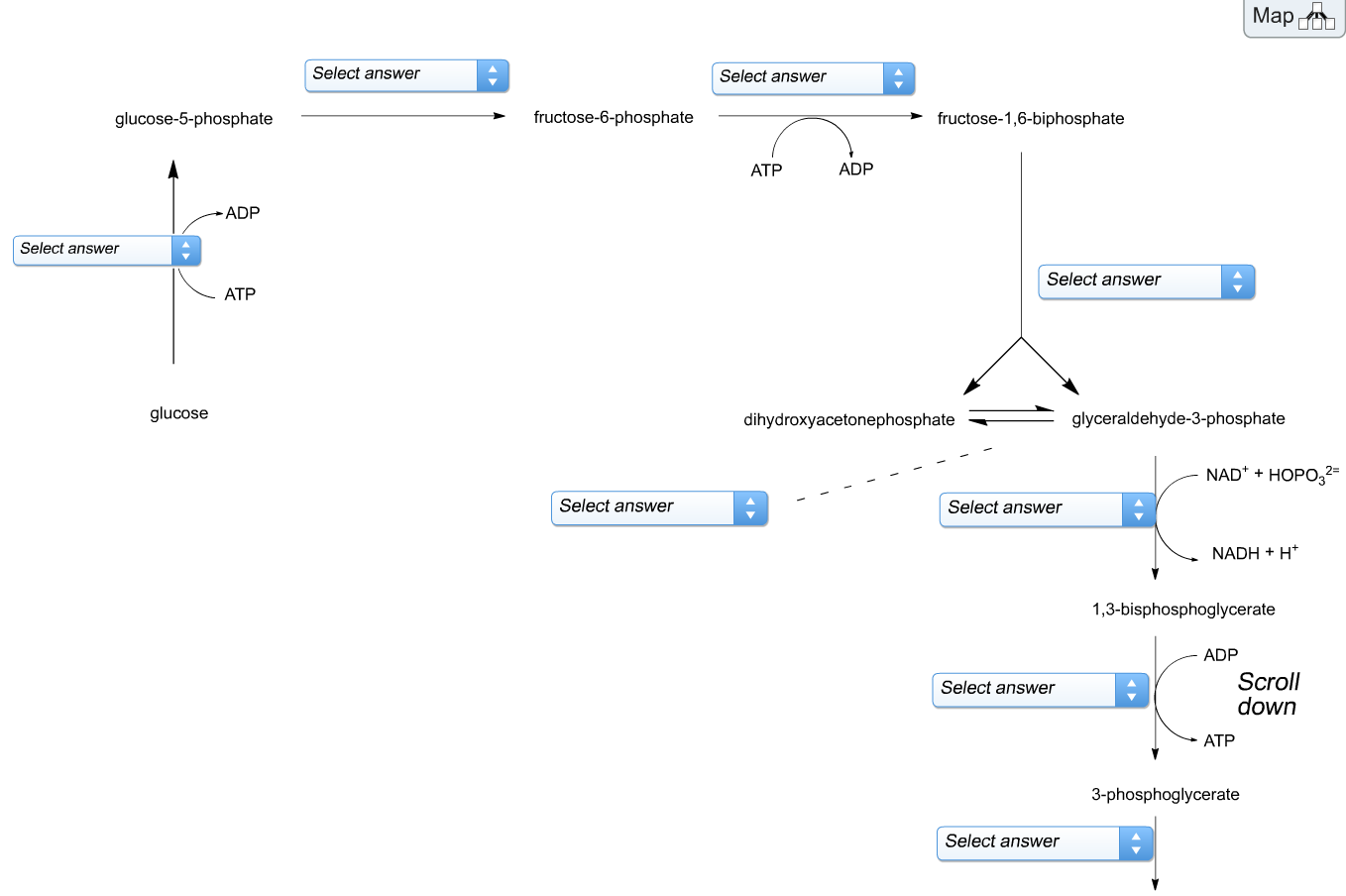 Solved The glycolysis pathway is shown below. In each | Chegg.com
