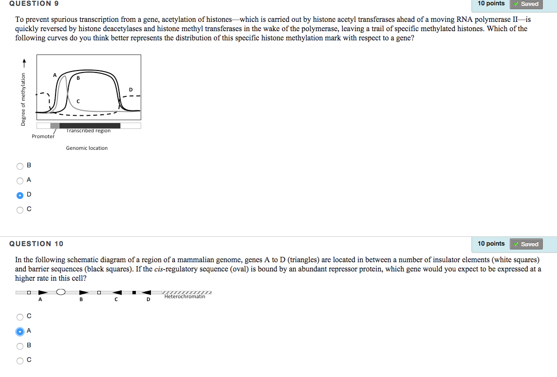 Solved To prevent spurious transcription from a gene, | Chegg.com