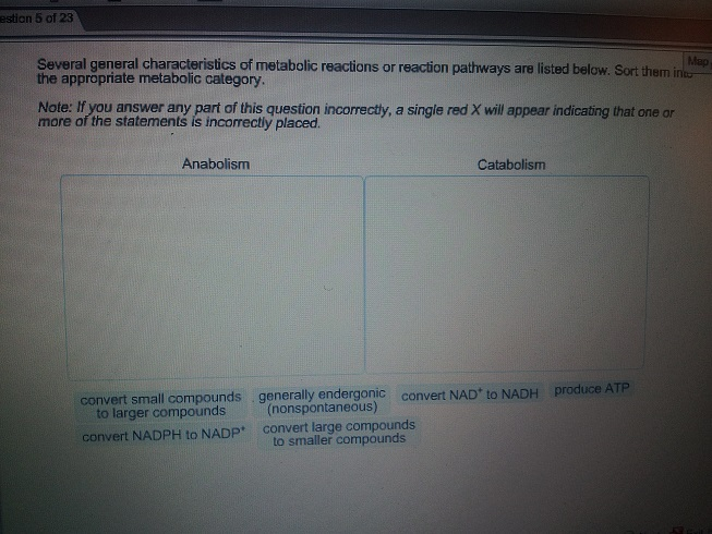 Solved Several general characteristics of metabolic | Chegg.com
