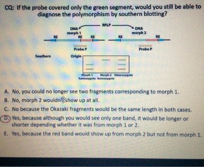 Solved Please explain why the answers circled are correct | Chegg.com