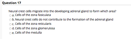 Solved Question 17 Neural crest cells migrate into the | Chegg.com