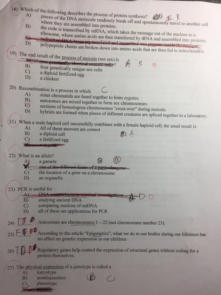 Solved Which of the following describes the process of | Chegg.com
