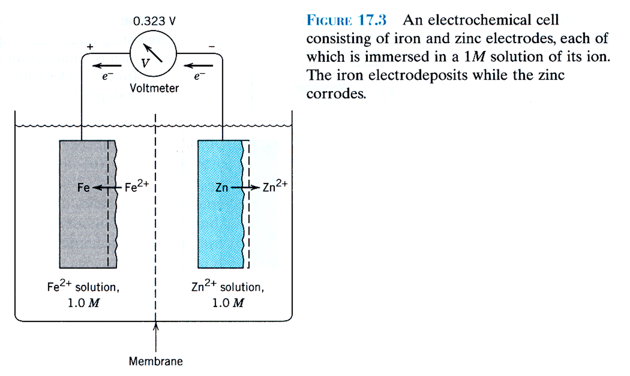 Complete the table below. Which metal is Fe2+ + 2e– | Chegg.com
