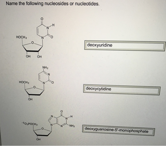 Solved Name the following nucleosides or nucleotides. | Chegg.com