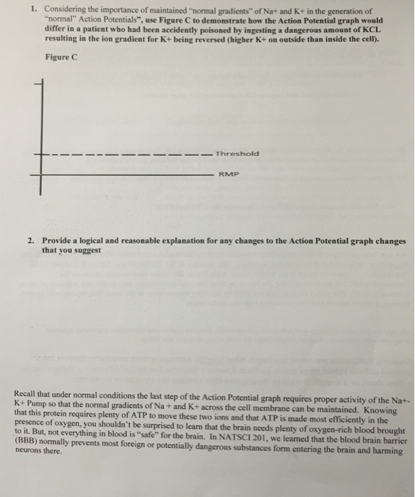 Solved Considering the importance of maintained "normal | Chegg.com