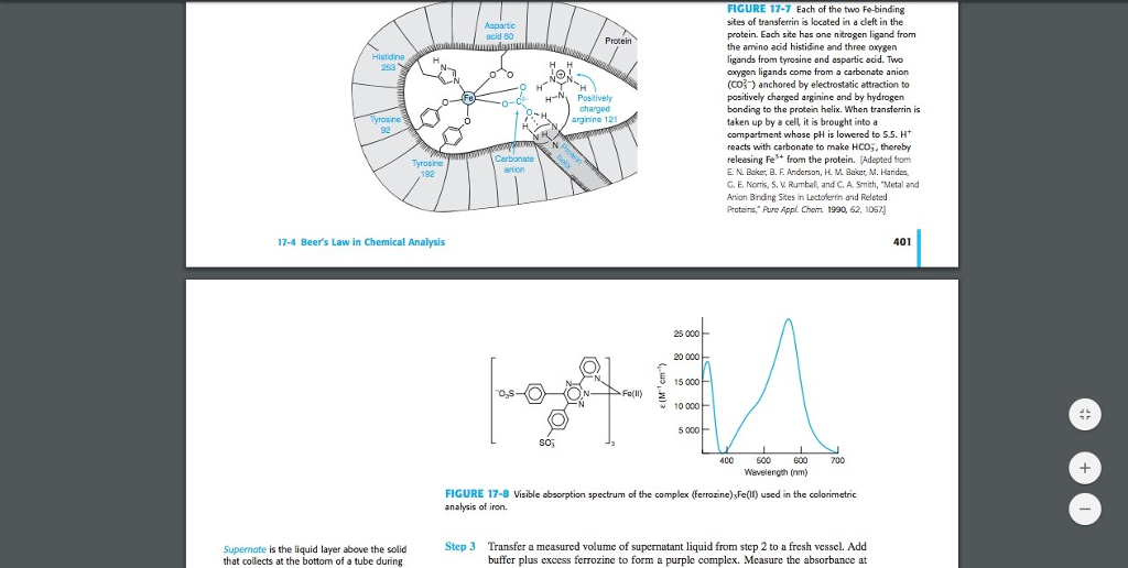 3. (20 points) The iron-binding site of the protein | Chegg.com