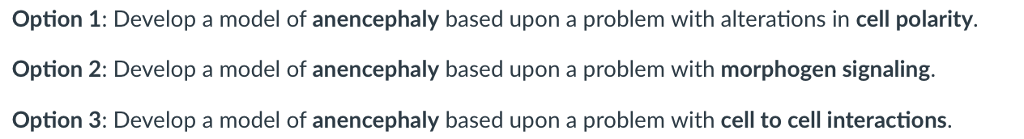 Solved Option 1: Develop a model of anencephaly based upon a | Chegg.com
