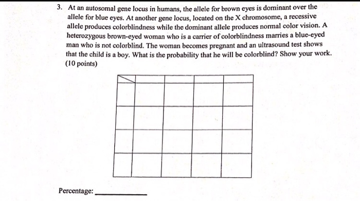Solved At an autosomal gene locus in humans, the allele for | Chegg.com