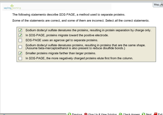Solved Map pling The following statements describe SDS-PAGE, | Chegg.com
