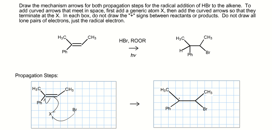 Solved Draw the mechanism arrows for both propagation steps | Chegg.com