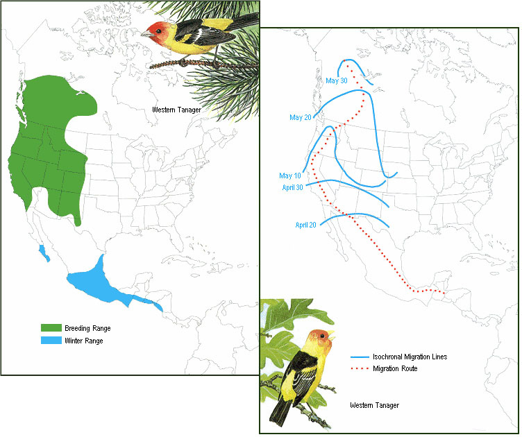 Solved Write a paragraph describing what the two maps tell | Chegg.com
