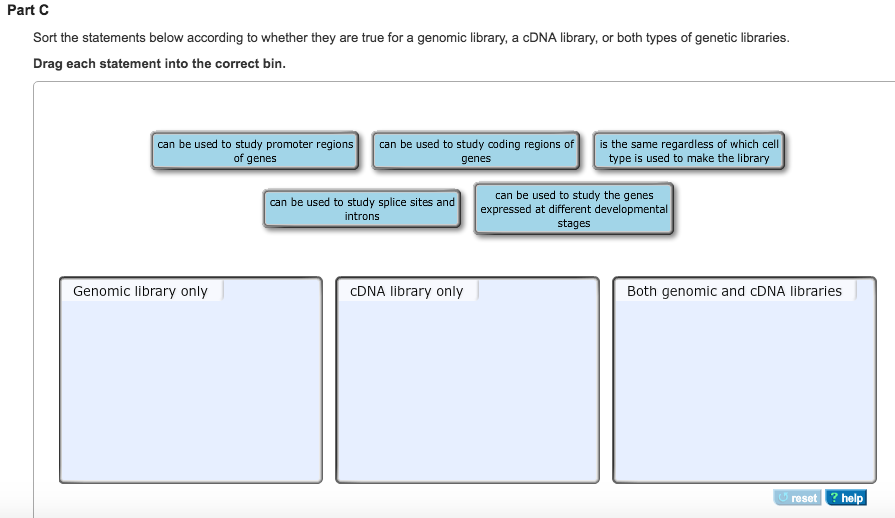 Solved Sort the statements below according to whether they | Chegg.com