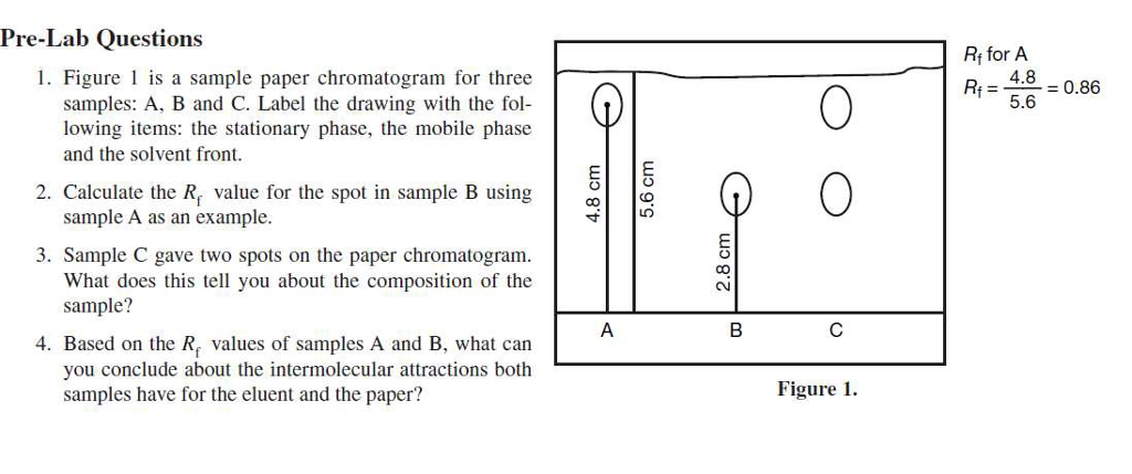 Solved 1.Figure 1 is a sample paper chromatogram for three | Chegg.com