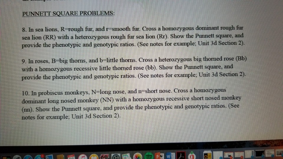 Solved PUNNETT SQUARE PROBLEMS: 8. In sea lions, R-rough | Chegg.com