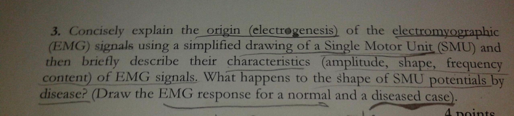 Solved 3. Concisely explain the origin (electrogenesis) of | Chegg.com