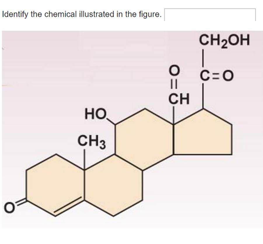 Solved Identify the chemical illustrated in the figure. | Chegg.com