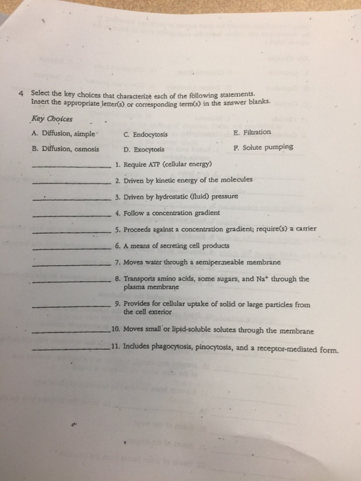 Solved Using key choices, identify the bone names or | Chegg.com