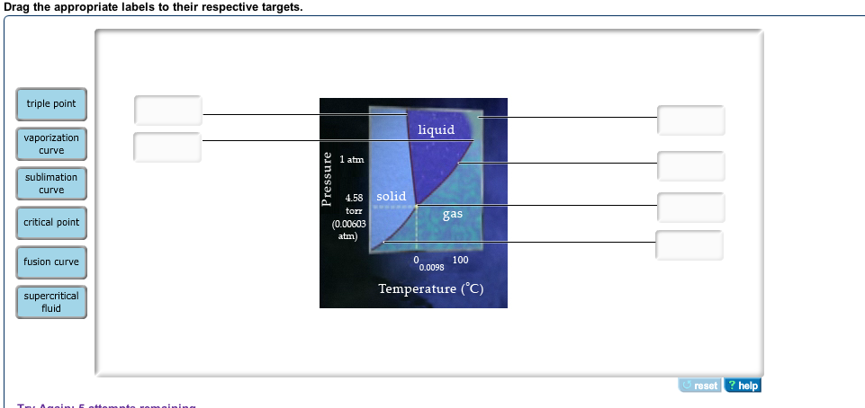 Solved Drag the appropriate labels to their respective | Chegg.com