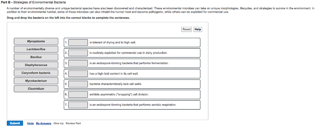 Solved Strategies of Environmental Bacteria. A number of | Chegg.com