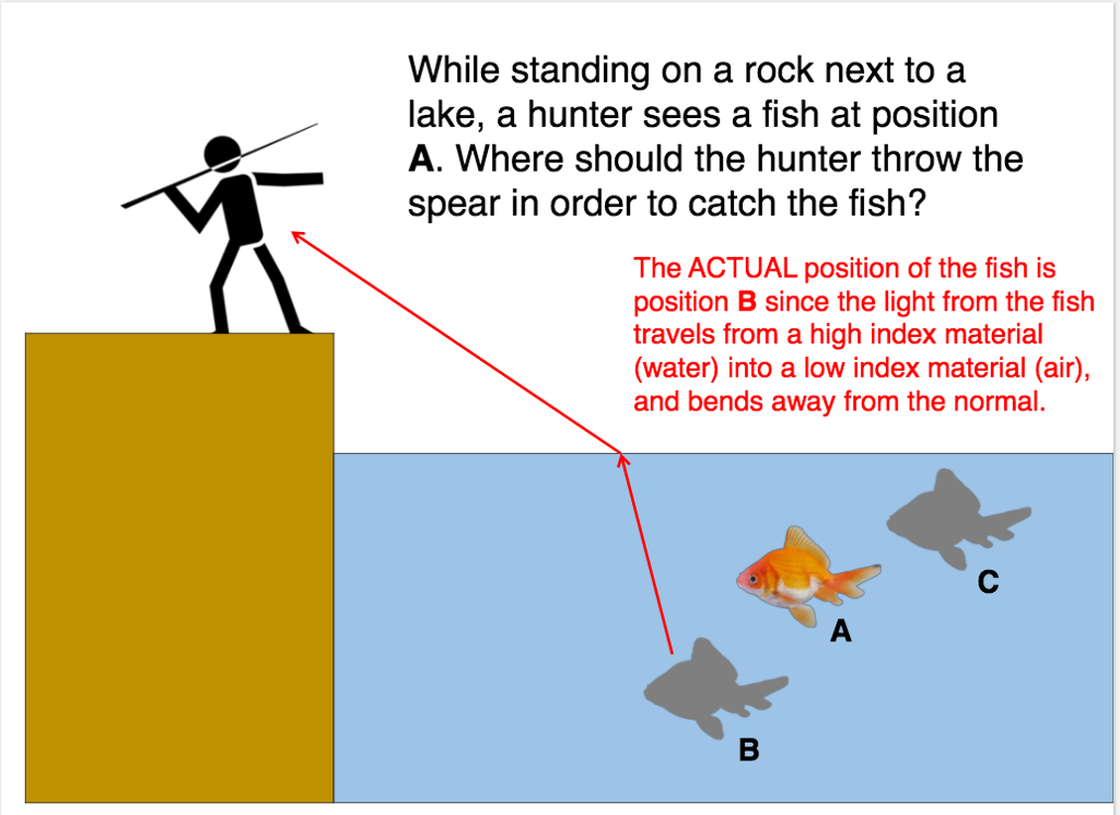 Solved While standing on a rock next to a lake, a hunter | Chegg.com