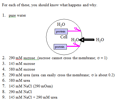 Solved For each of these, you should know what happens and | Chegg.com