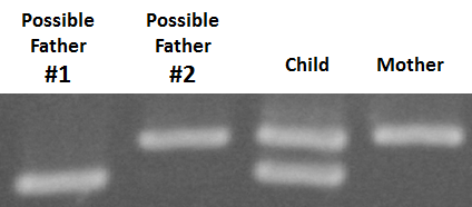 Solved Please explain the answers, thank you! | Chegg.com