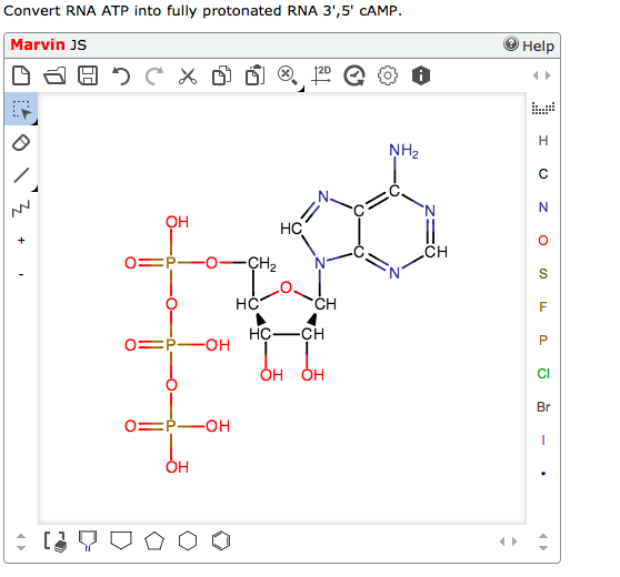 Solved Convert RNA ATP into fully protonated RNA 3', 5' | Chegg.com