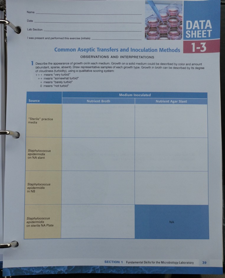 Solved Name Date DATA SHEET 1-3 Lab Section was present and | Chegg.com