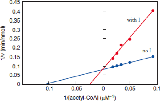 Solved The compound S-acetonyl-CoA can be synthesized from | Chegg.com