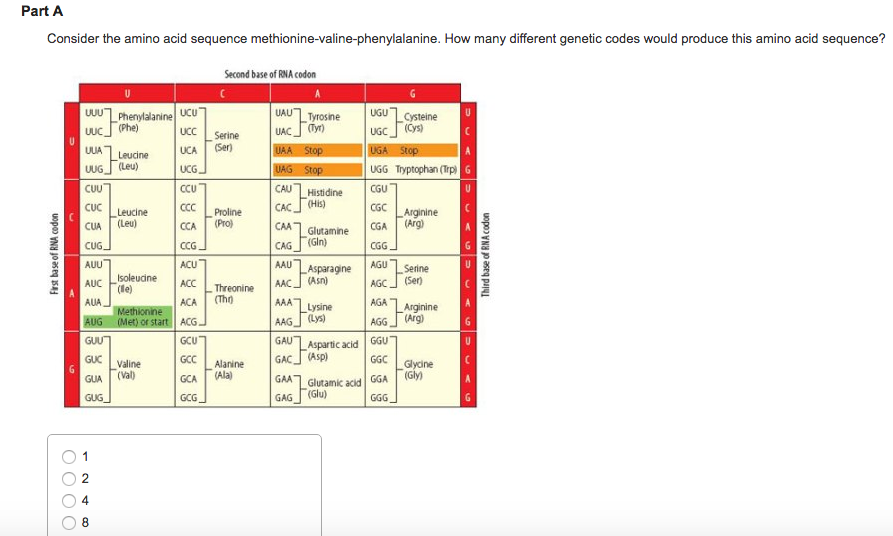 Solved Consider the amino acid sequence methionine - valine | Chegg.com